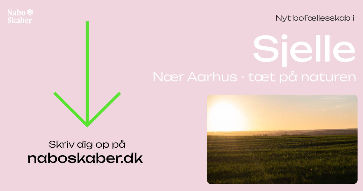 Naboskaber - Vi bygger naboskaber i fællesskab